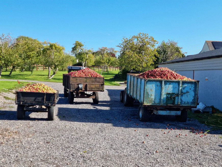 Cider fermentation with Float — Brewbrain
